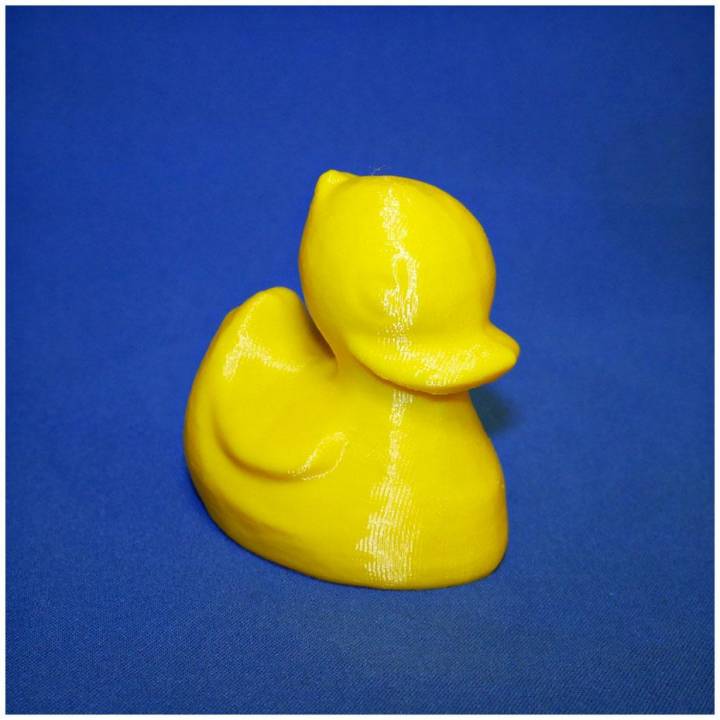 3D Printable Rubber Ducky (Plastic Duck 3D Scan) by 3DWP