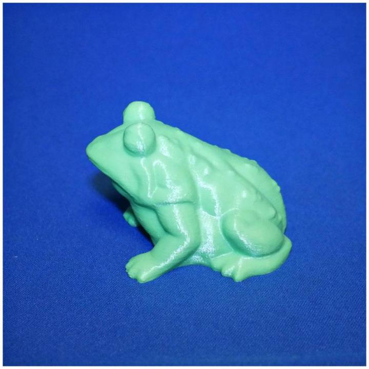 3D Printable Frog Sculpture 3D Scan by 3DWP