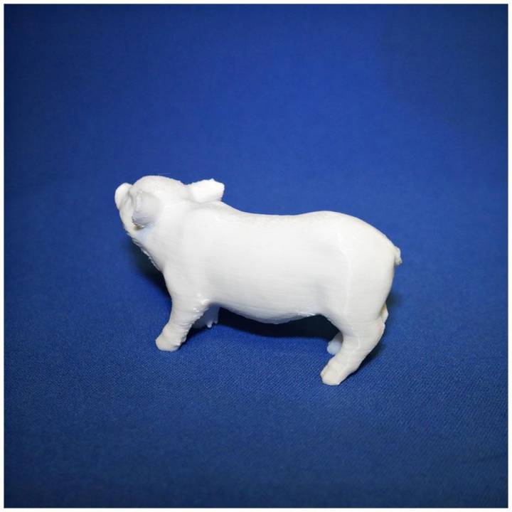 3D Printable Pig Sculpture 3D Scan by 3DWP