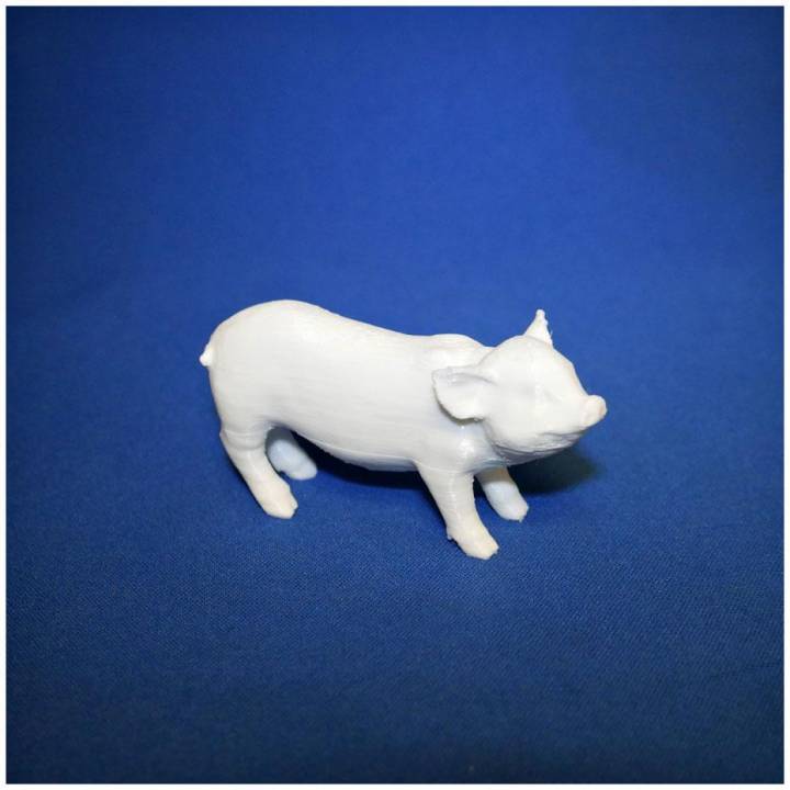 3D Printable Pig Sculpture 3D Scan by 3DWP