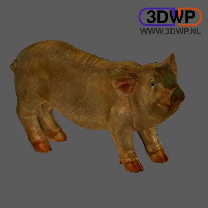 3D Printable Pig Sculpture 3D Scan by 3DWP