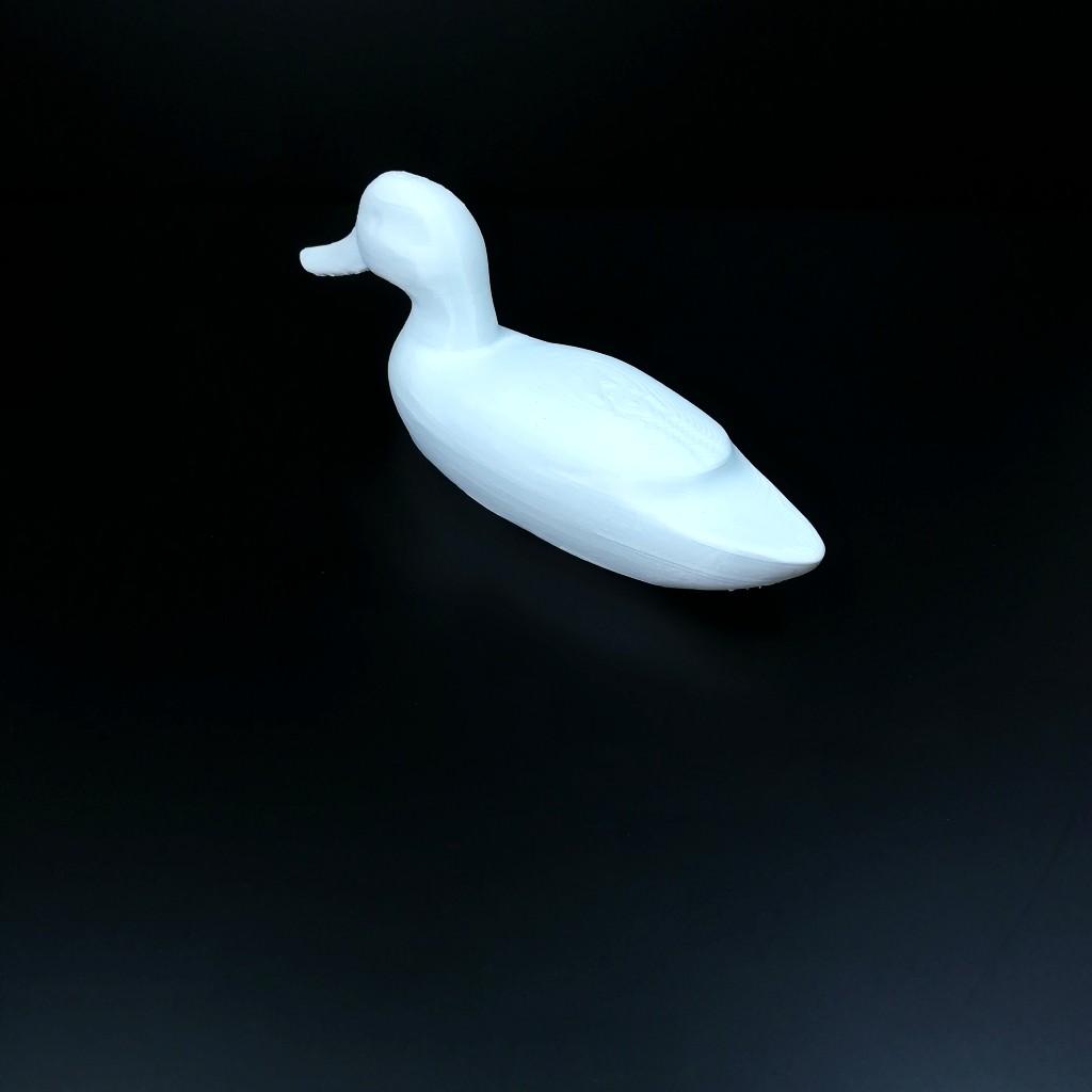 3D Printable Vintage Duck Decoy 3D Scan by 3DWP