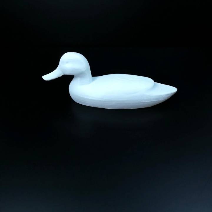 3D Printable Vintage Duck Decoy 3D Scan by 3DWP