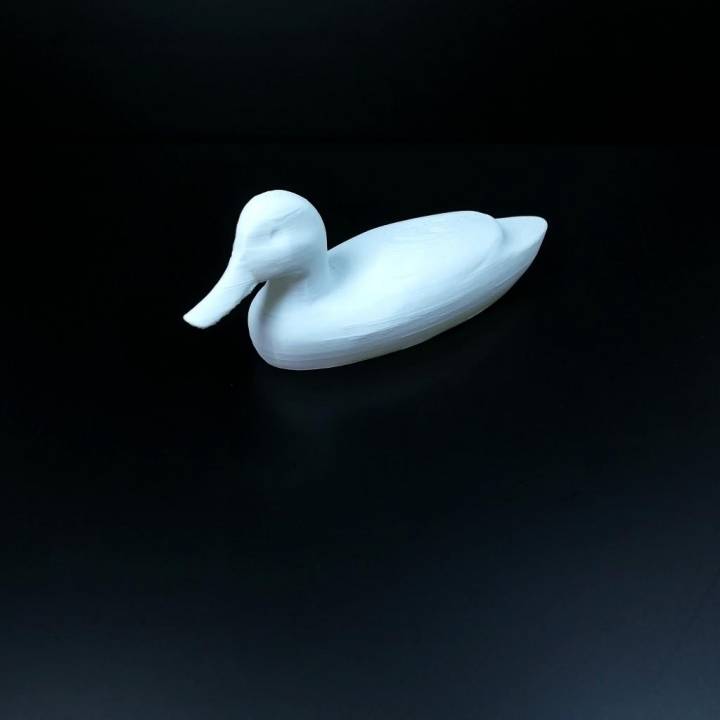 3D Printable Vintage Duck Decoy 3D Scan by 3DWP