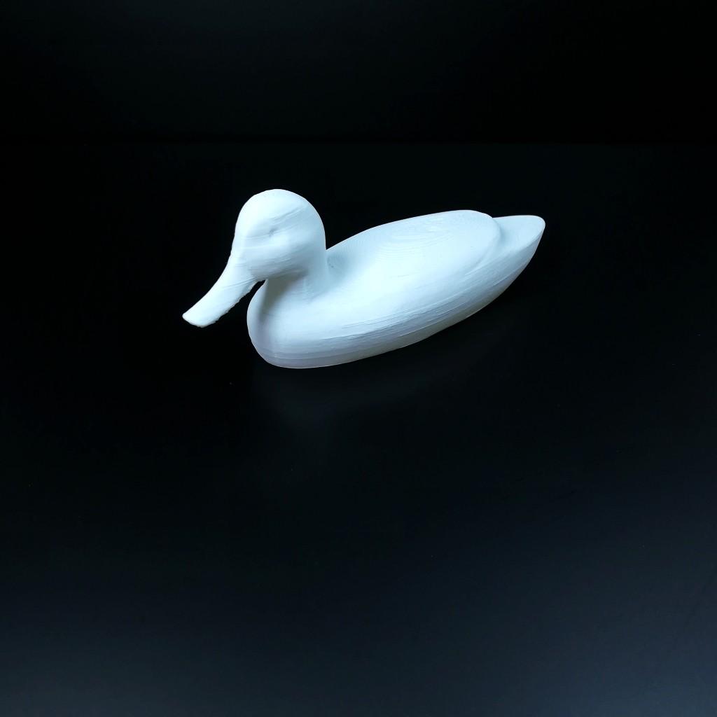 3D Printable Vintage Duck Decoy 3D Scan by 3DWP