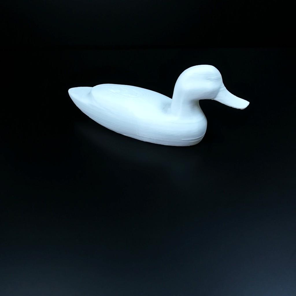 3D Printable Vintage Duck Decoy 3D Scan by 3DWP