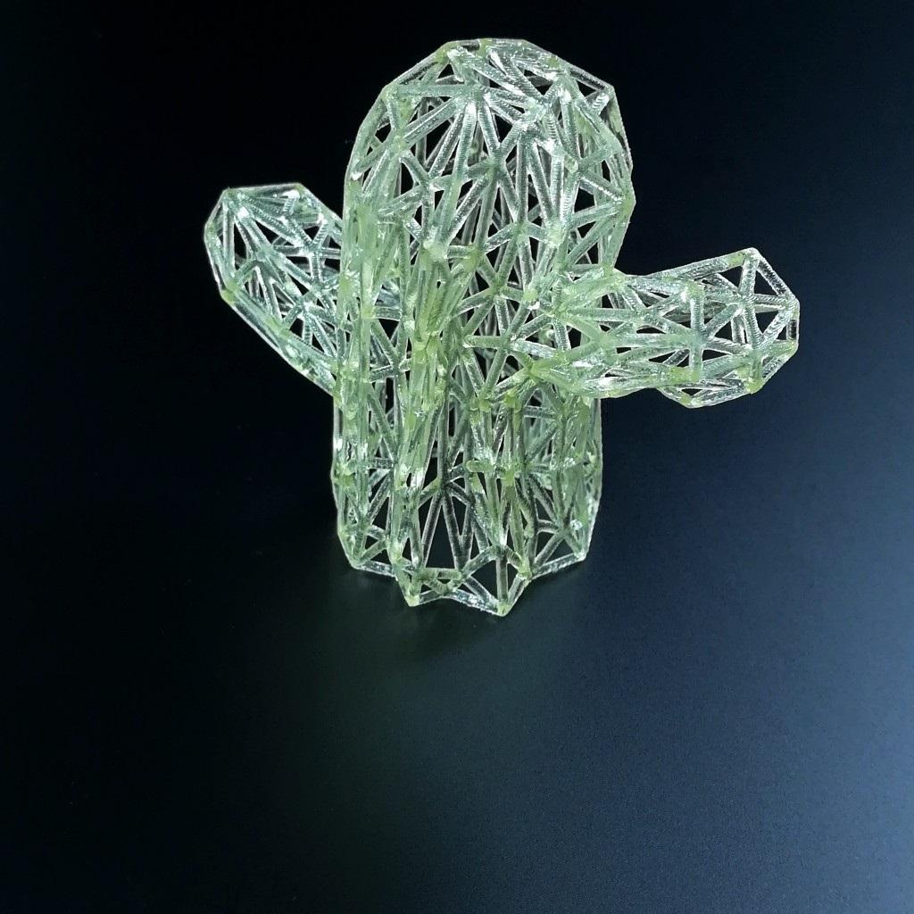 3D Printable Cactus Pattern (Voronoi Style) by 3DWP