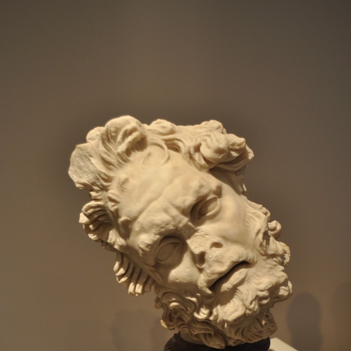 3D Printable Head of an Old Centaur by Scan The World