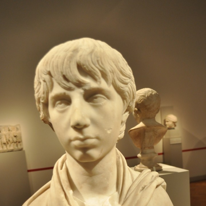 3D Printable Bust of Polydeukes by Scan The World