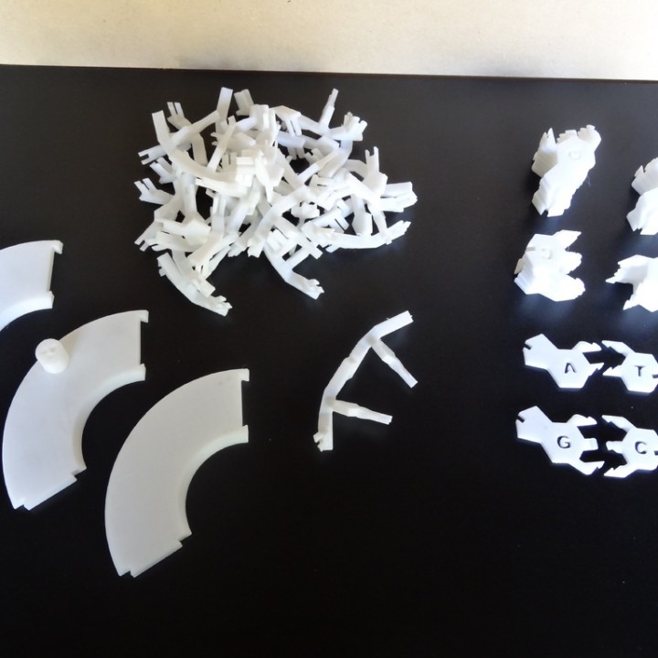 3D Printable DNA Construction Set by Stuart Ferguson