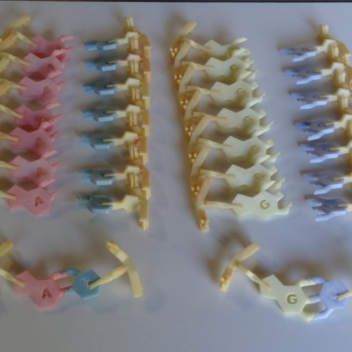 3D Printable DNA Construction Set by Stuart Ferguson