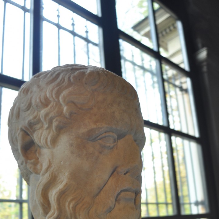 3D Printable Plato by Scan The World