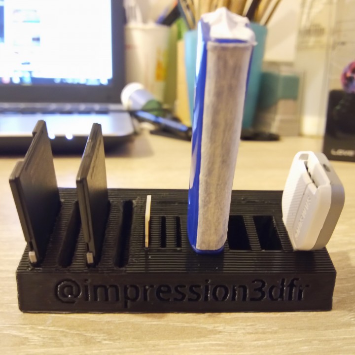 3D Printable SD/ Micro SD/ USB Holder by Gprint3d
