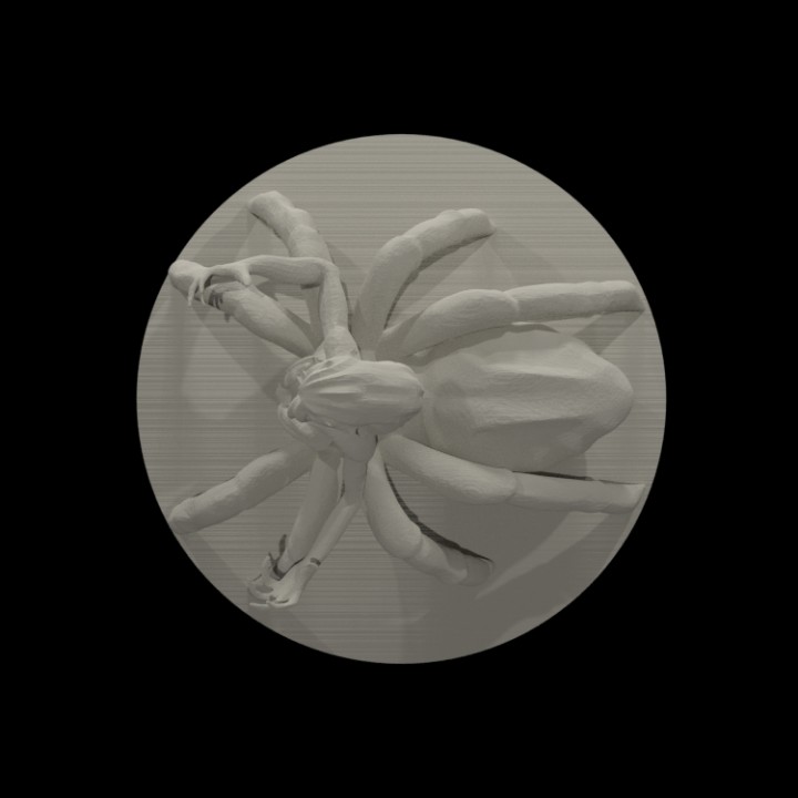 3D Printable Drider by Miguel Zavala