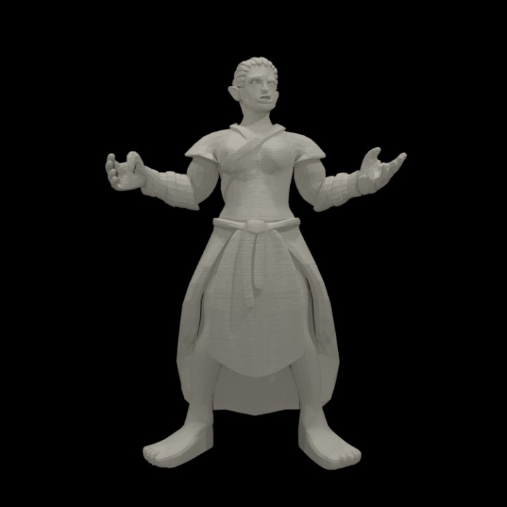3D Printable Monk Collection! by Miguel Zavala