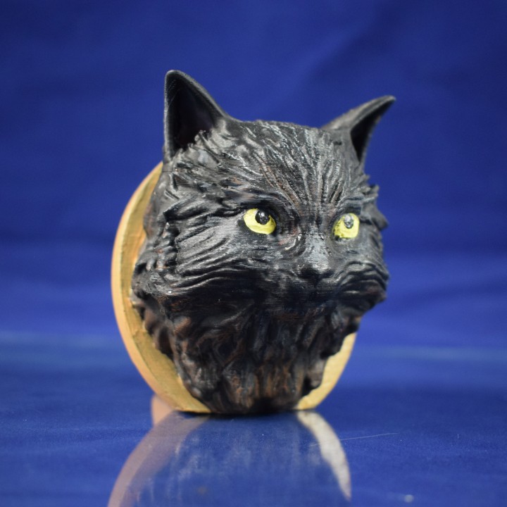 3D Printable Long Hair Cat Bust Portrait by Tanya Wiesner