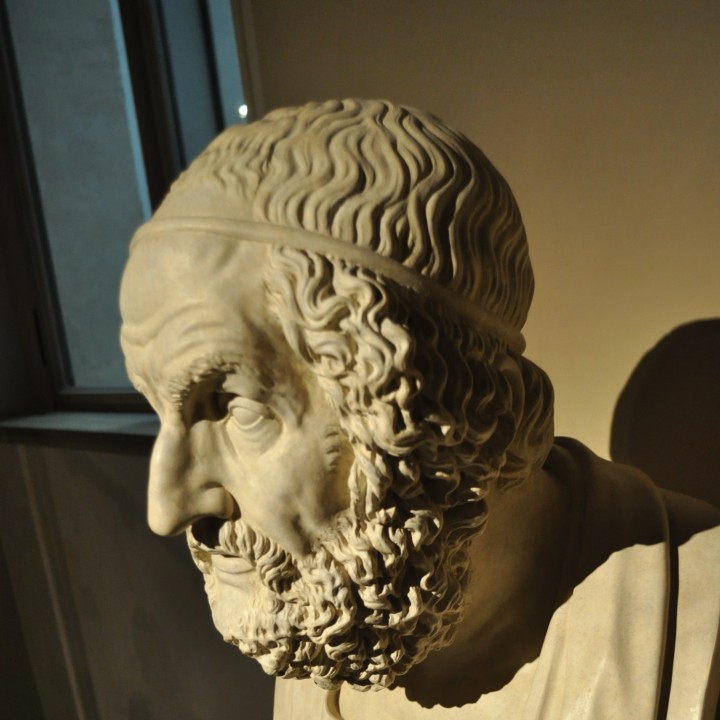 3D Printable Bust of Homer by Scan The World