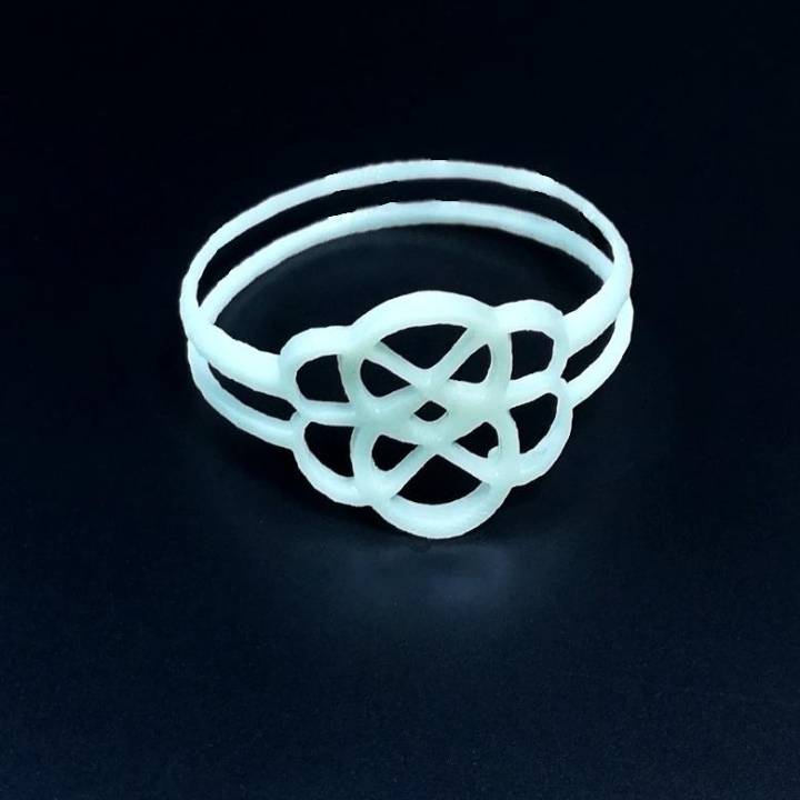 3D Printable Ring by Rybicki Kimmie