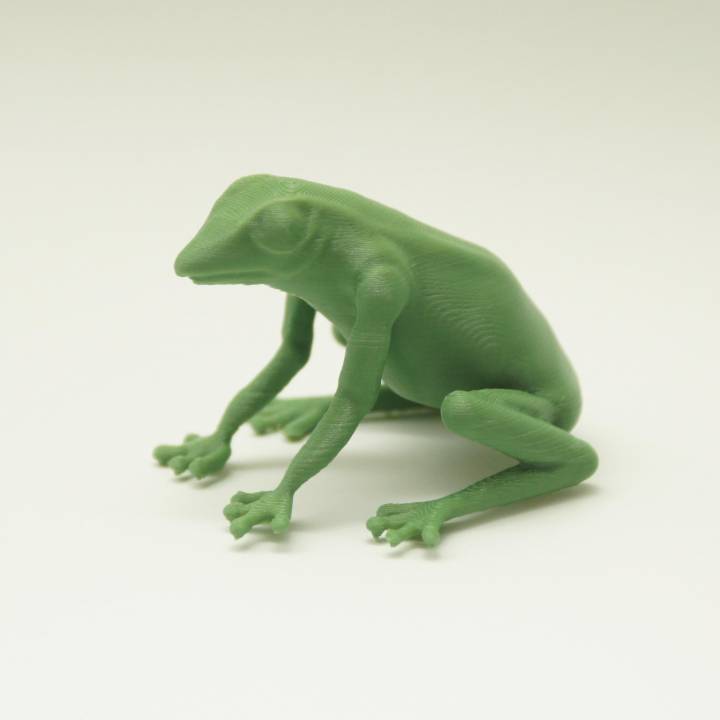 3D Printable Frog by Giselle Baptiste