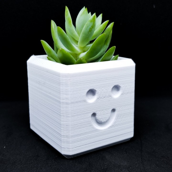 3D Printable Happy Planter / 3D printed planter by Cubico / Javier Paz