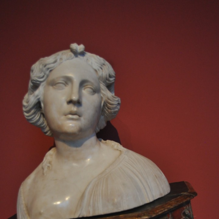 3D Printable Bust of a Young Lady by Scan The World