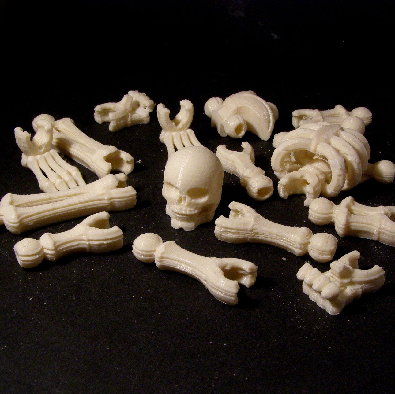 3D Printable Build your own Skeleton. by Matthew Kaye