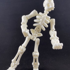 3D Printable Build your own Skeleton. by Matthew Kaye