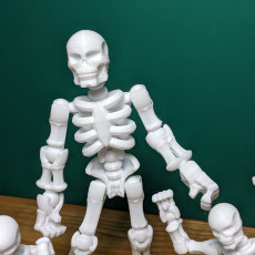 3D Printable Build your own Skeleton. by Matthew Kaye