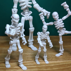 3D Printable Build your own Skeleton. by Matthew Kaye