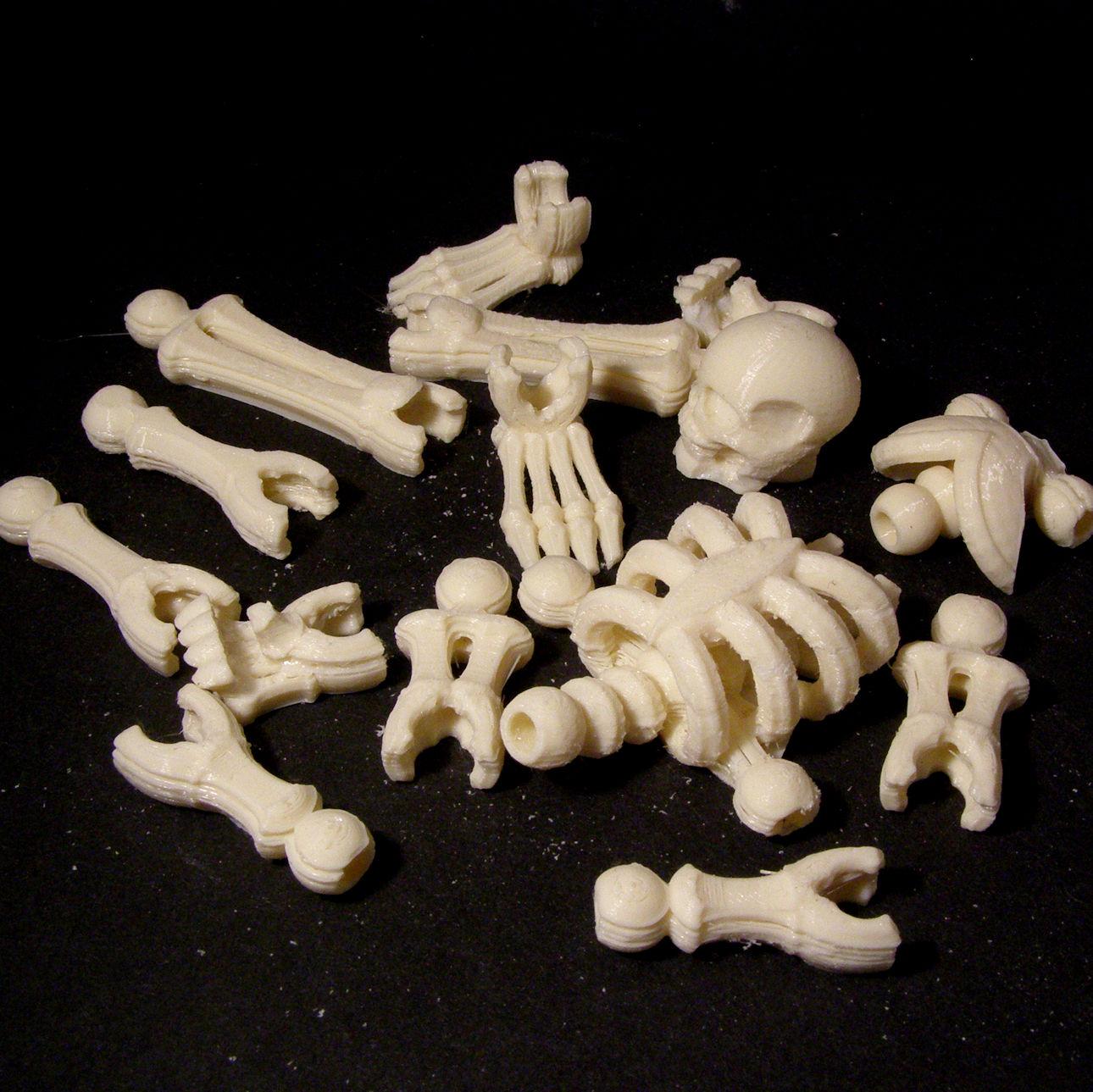 3D Printable Build your own Skeleton. by Matthew Kaye