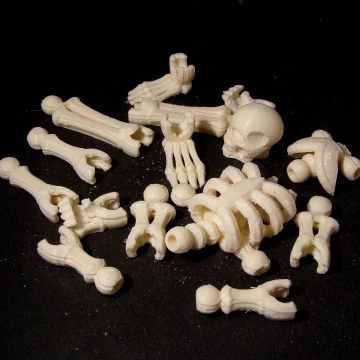 3D Printable Build your own Skeleton. by Matthew Kaye