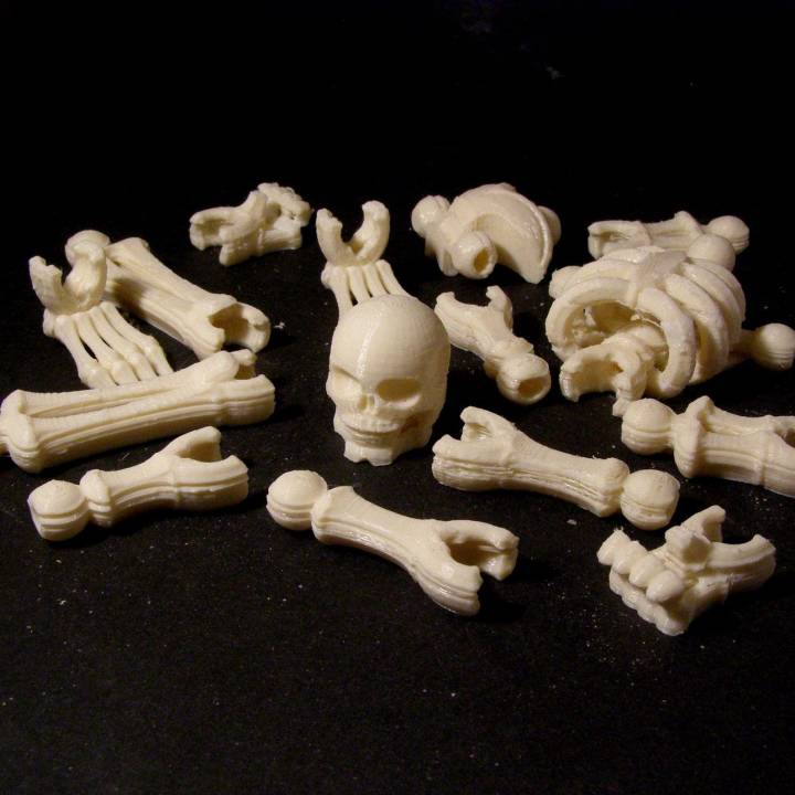 3D Printable Build your own Skeleton. by Matthew Kaye