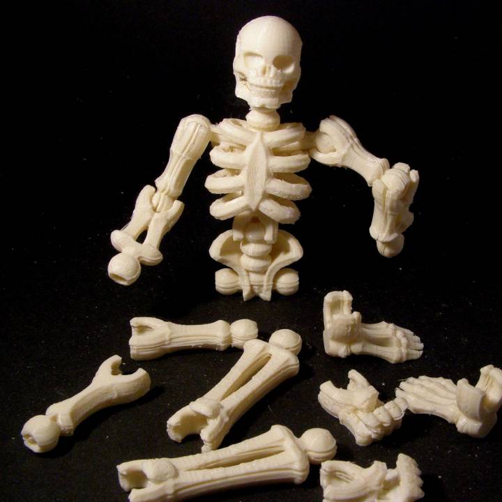 3D Printable Build your own Skeleton. by Matthew Kaye