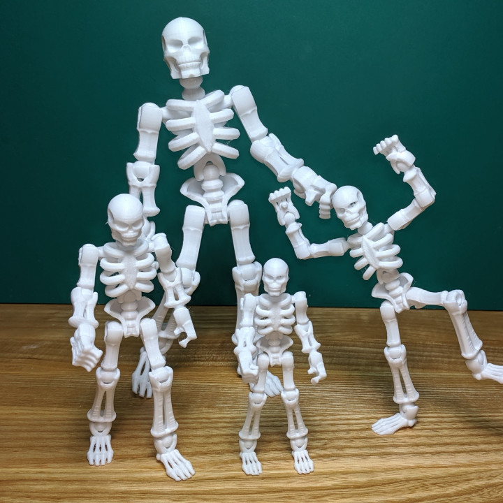 3D Print of Build your own Skeleton. by whayden