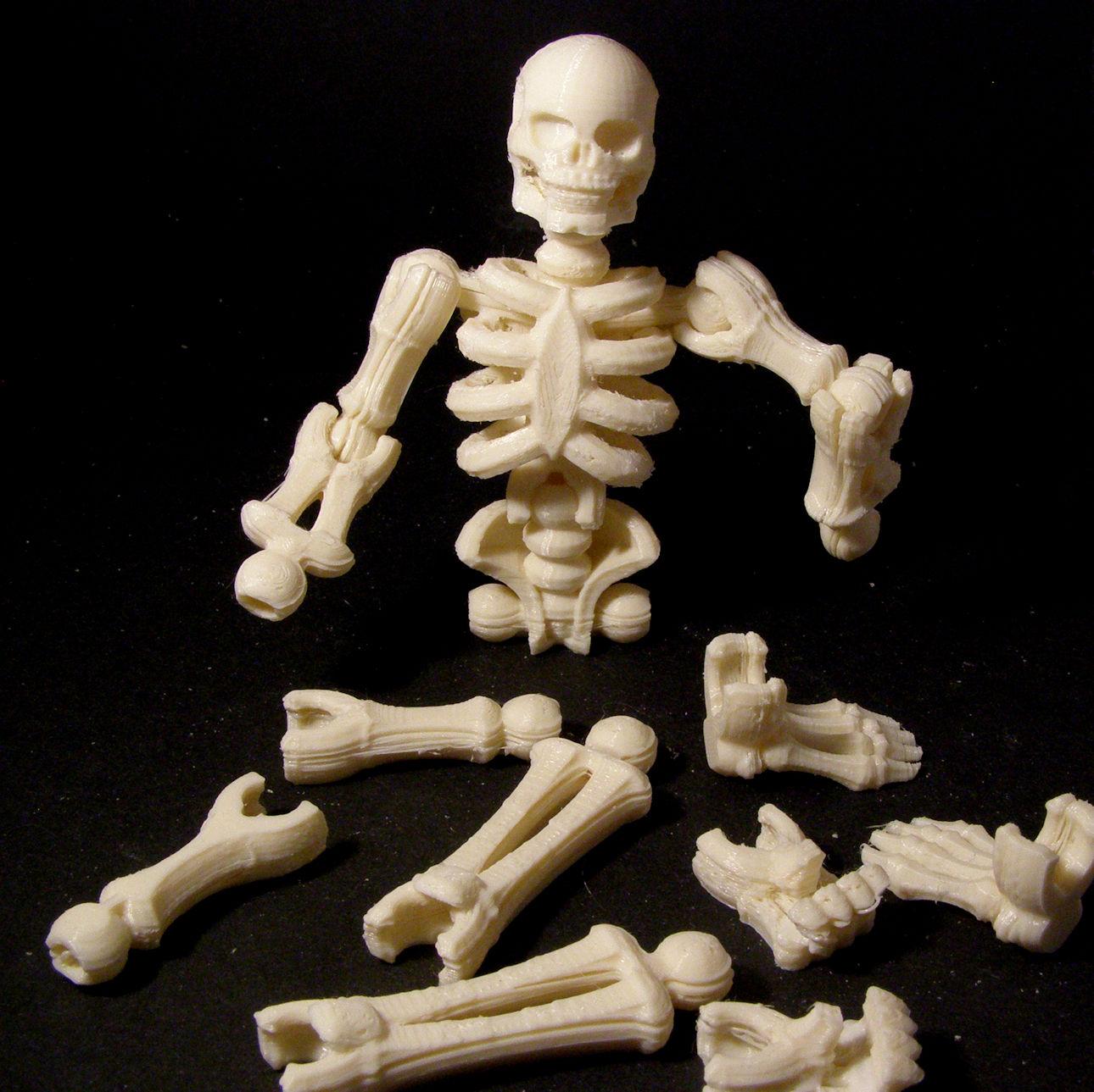 3D Printable Build your own Skeleton. by Matthew Kaye