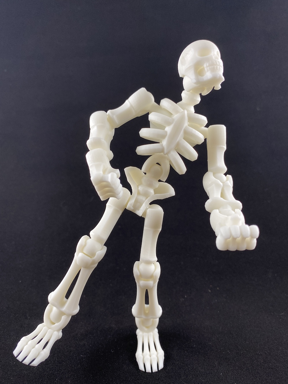 3D Printable Build your own Skeleton. by Matthew Kaye