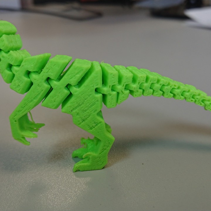 3D Print of Flexi Raptor by prospegto