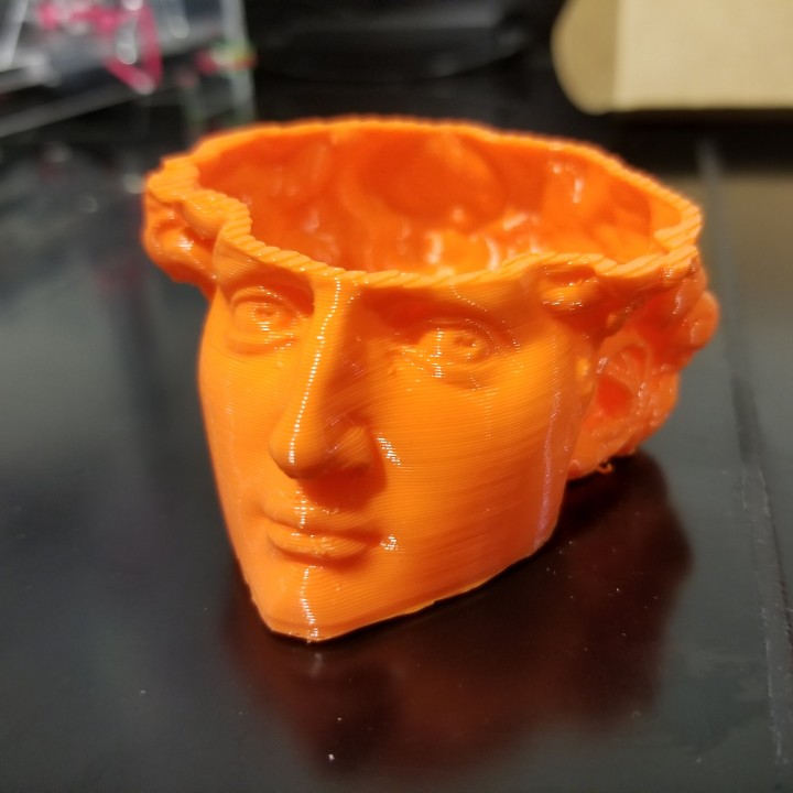 3D Printable Potted David by Joel Bonasera