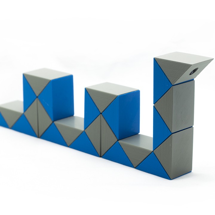 3D Printable Snake Puzzle by Michal Fanta