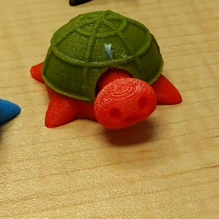 3D Printable Turtle Bobble Head by Joshua Cameron