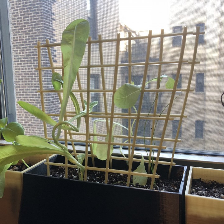 3D Printable Garden Trellis for Window Boxes and More by John Fitzpatrick