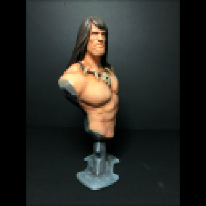 3D Print of Conan the Barbarian bust by danieleprencipe