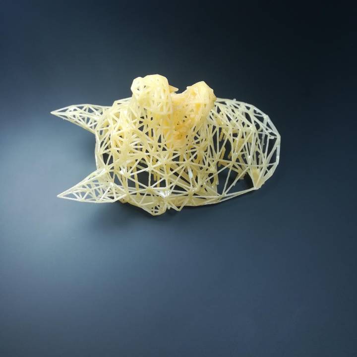 3D Printable Wireframe wolf head by Michel Gerding