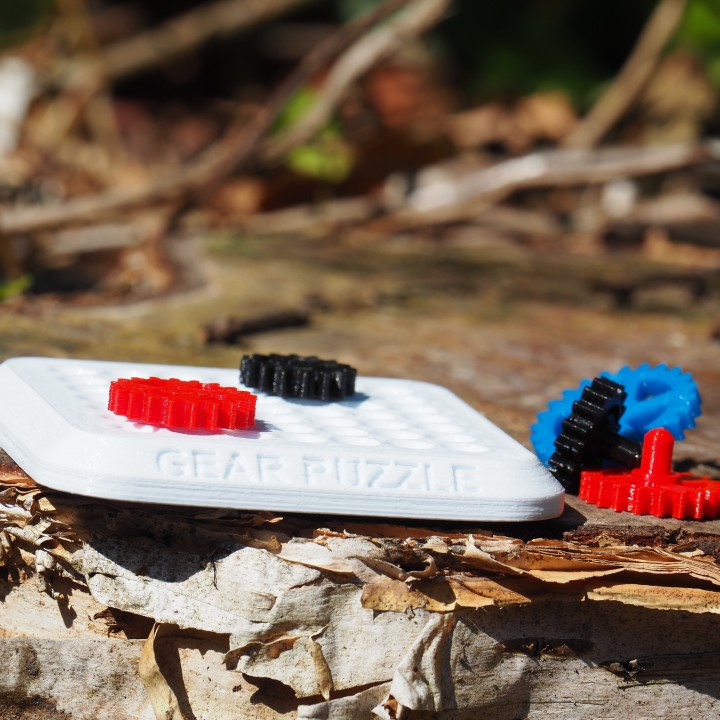 3D Printable Gear puzzle by Paul Klop