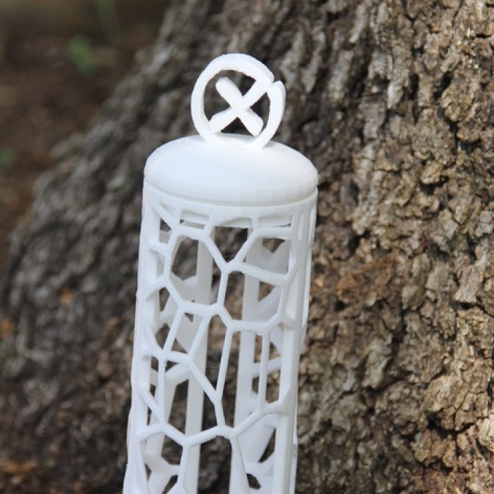 3D Printable Geocache Coin and Box by sb