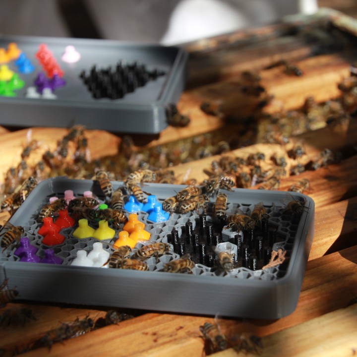 3D Printable Honeycomb Buzzle by Waldo Minny