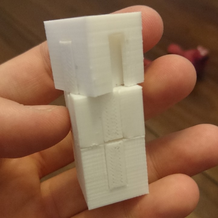 3D Printable Twisty Cube Slide Puzzle by Colton Hunt