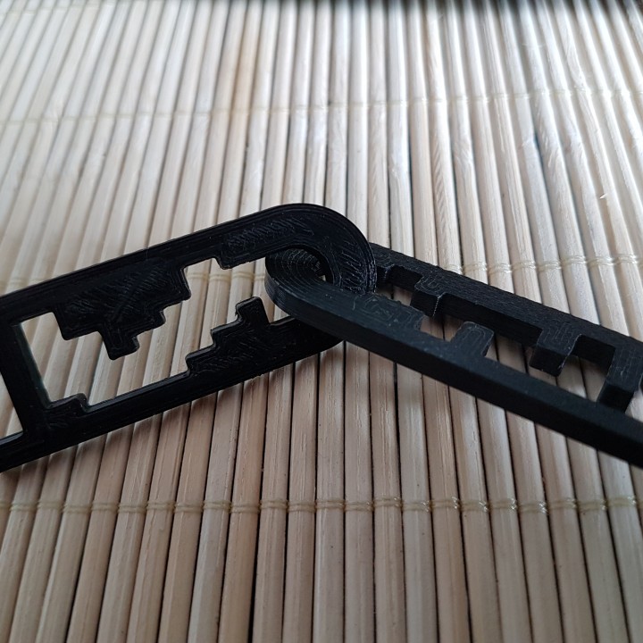 3D Printable Key Hole Seperation Puzzle by Thomas Lamma