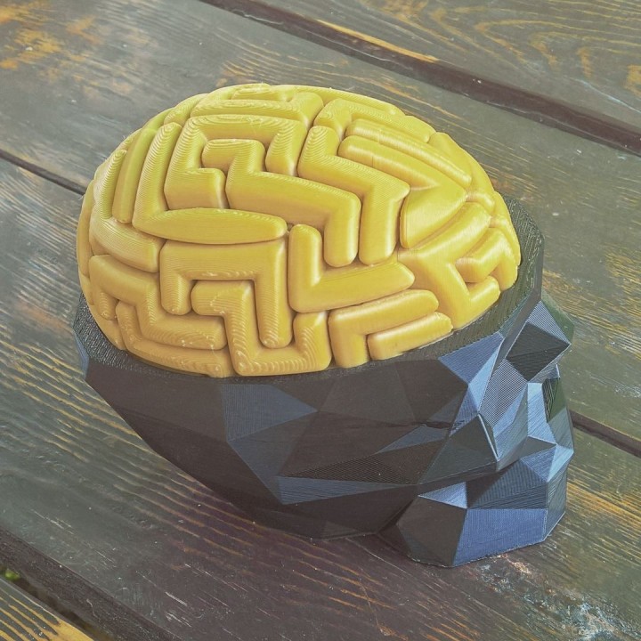 3D Print of Dr. Brain Breaker by GyorgYusupov