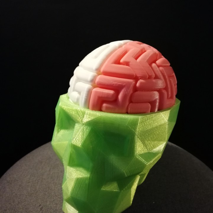 3D Print of Dr. Brain Breaker by Sandstrand